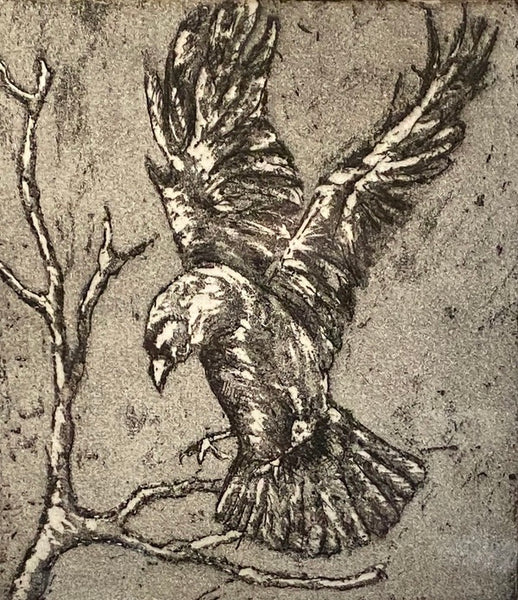The Crow (a/p), Etching Print (TB02) – Purple Gallery